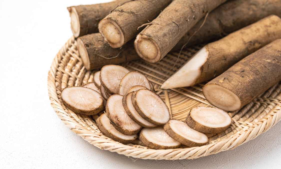 Bardane : bienfaits, sources, dosage, formes et dangers