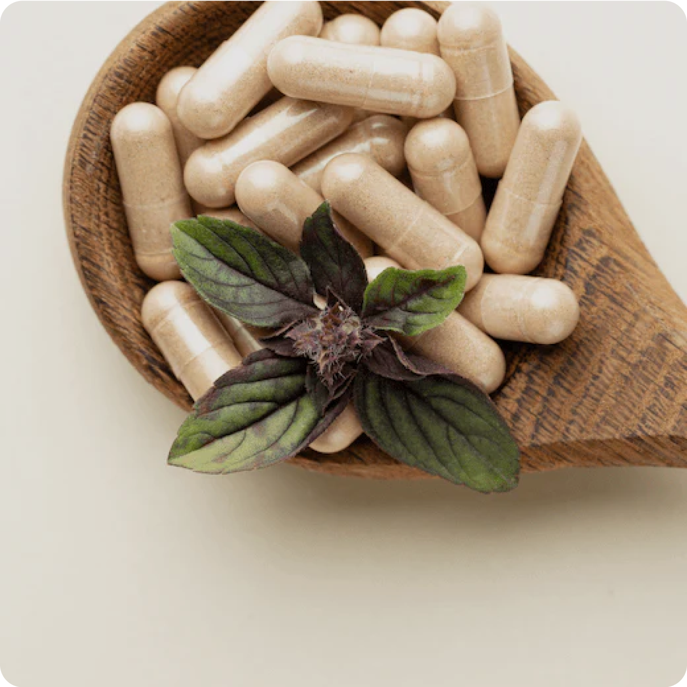 Compléments alimentaires et Cosmétiques Bio | Naturellement-Bio ...